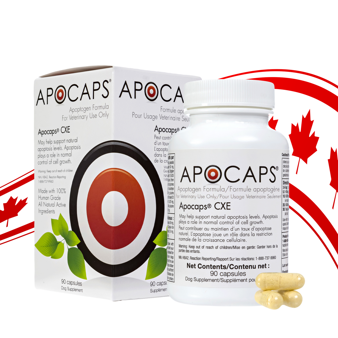 Apocaps CXE International Apoptogen Formula for Dogs (90 capsules ...