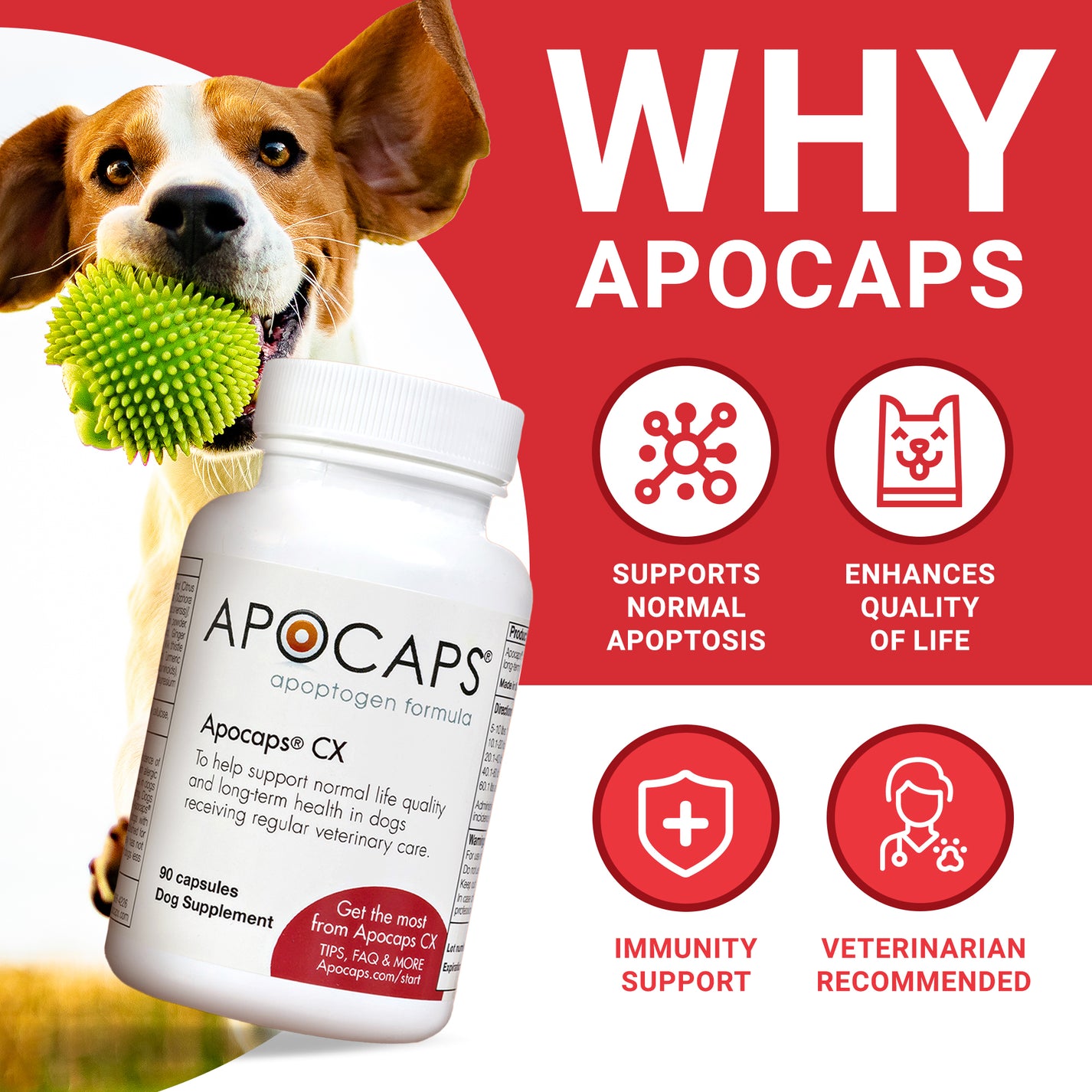 Apocaps CX Apoptogen Formula for Dogs (90 capsules) – Functional Nutriments