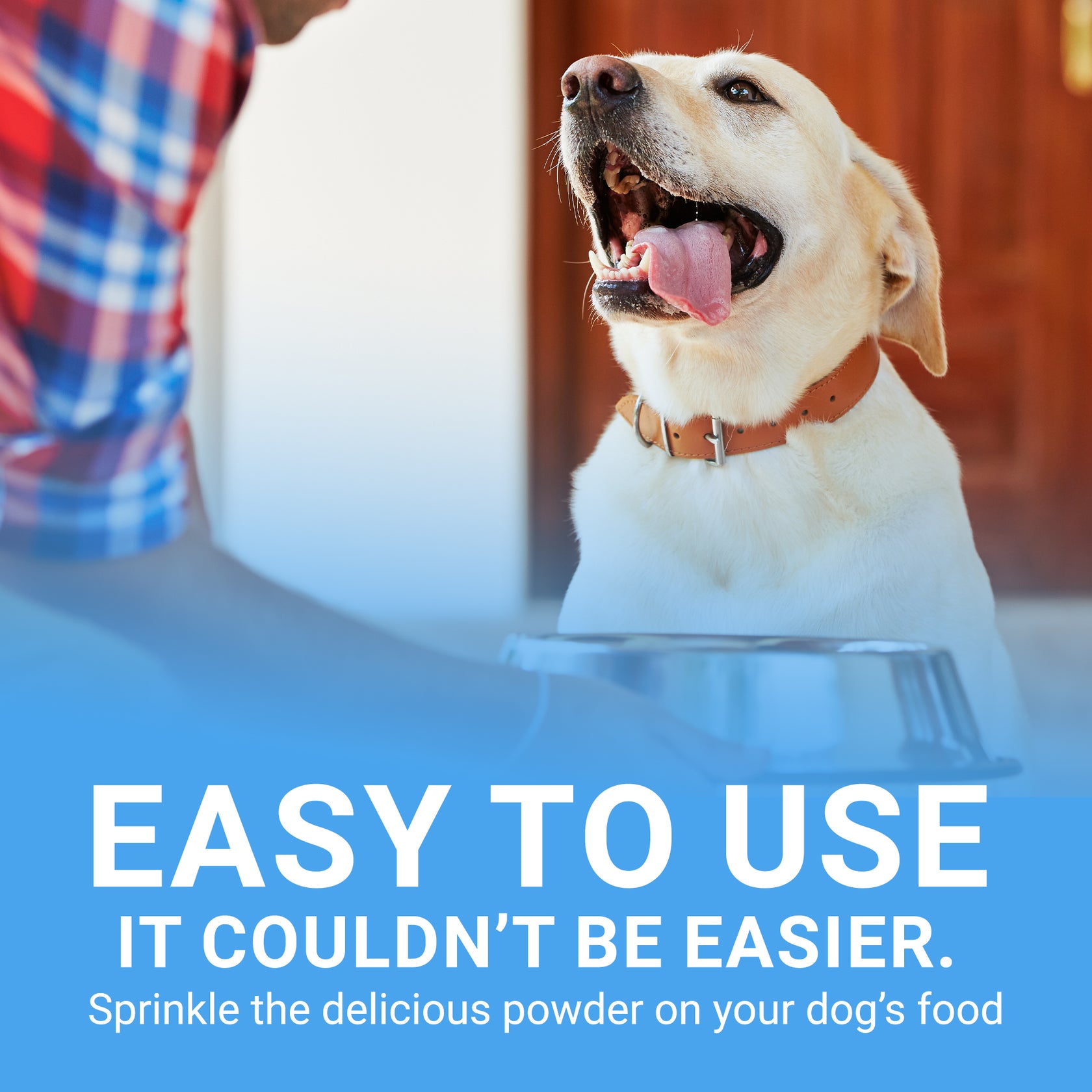 EverPup Ultimate Daily Dog Supplement (180 grams) – Functional Nutriments