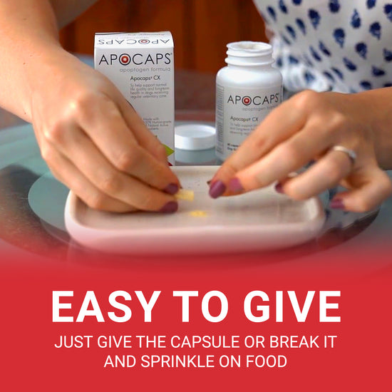 Apocaps CX Apoptogen Formula for Dogs (90 capsules) – Functional Nutriments