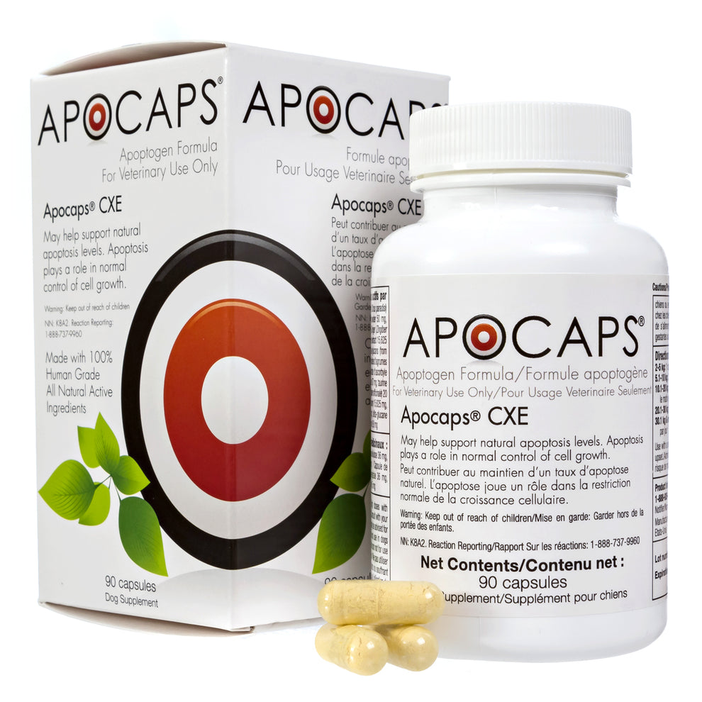 Apocaps CXE International Apoptogen Formula for Dogs (90 capsules ...